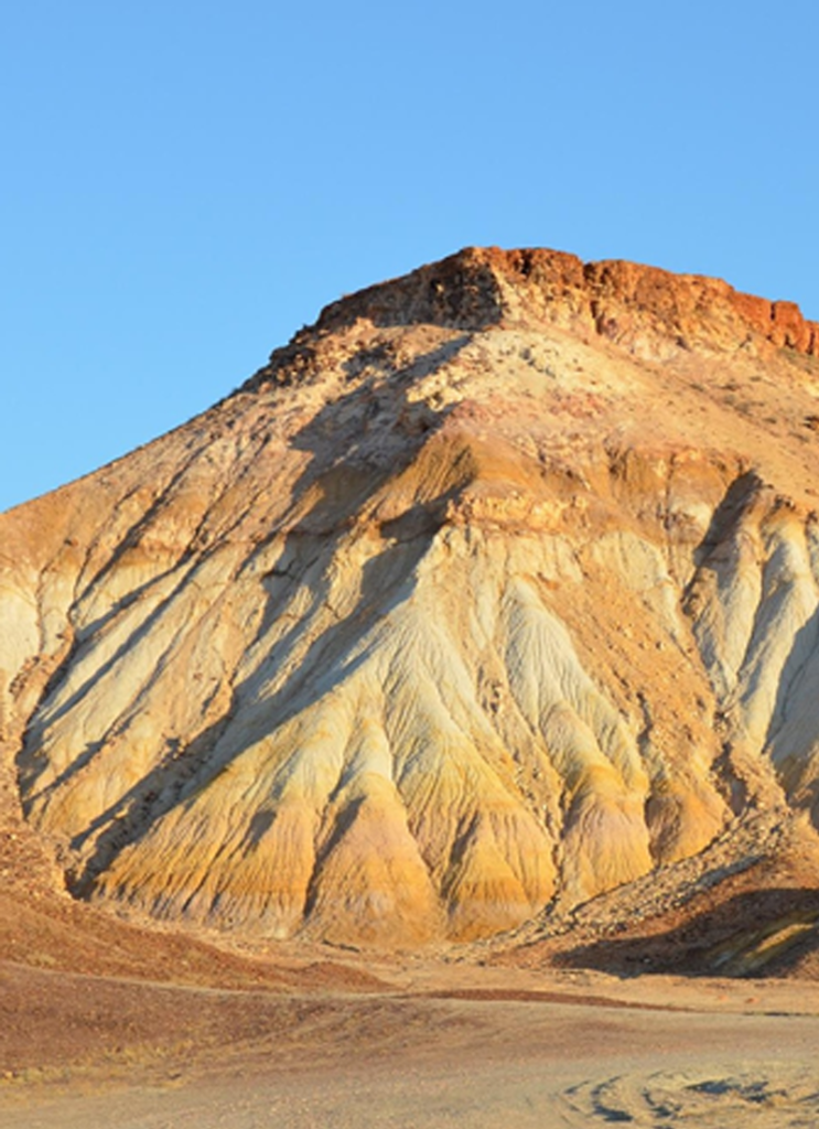 About Us – Australian Carbon Vault